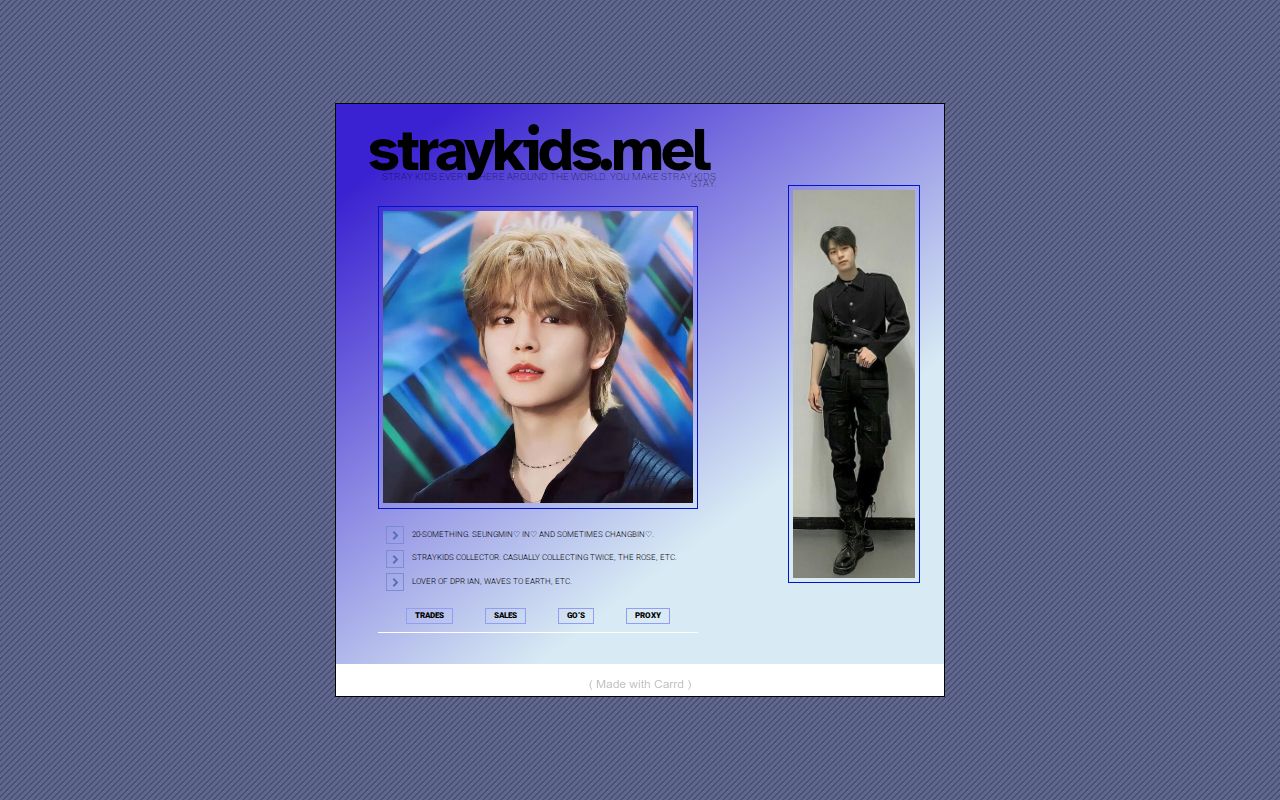 Straykids.Mel